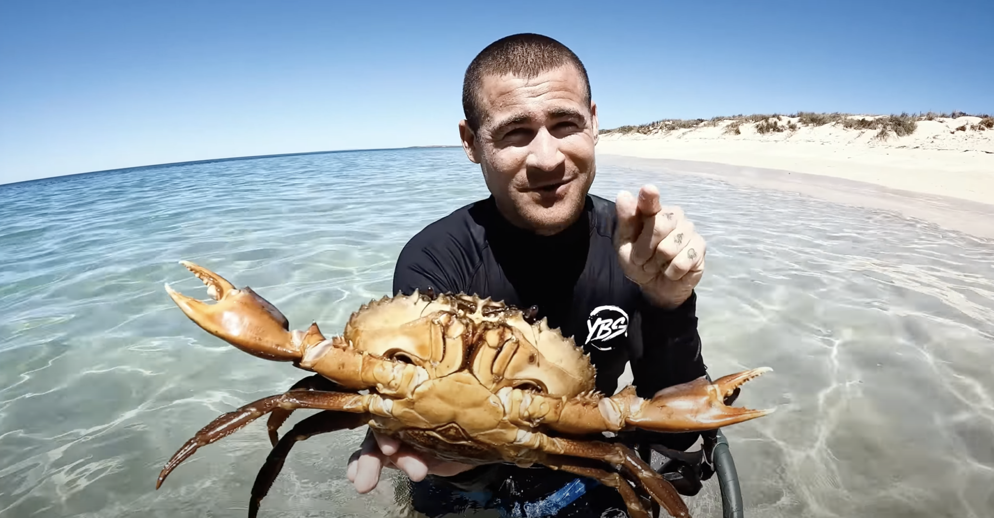 YBS Youngbloods - Plugged In